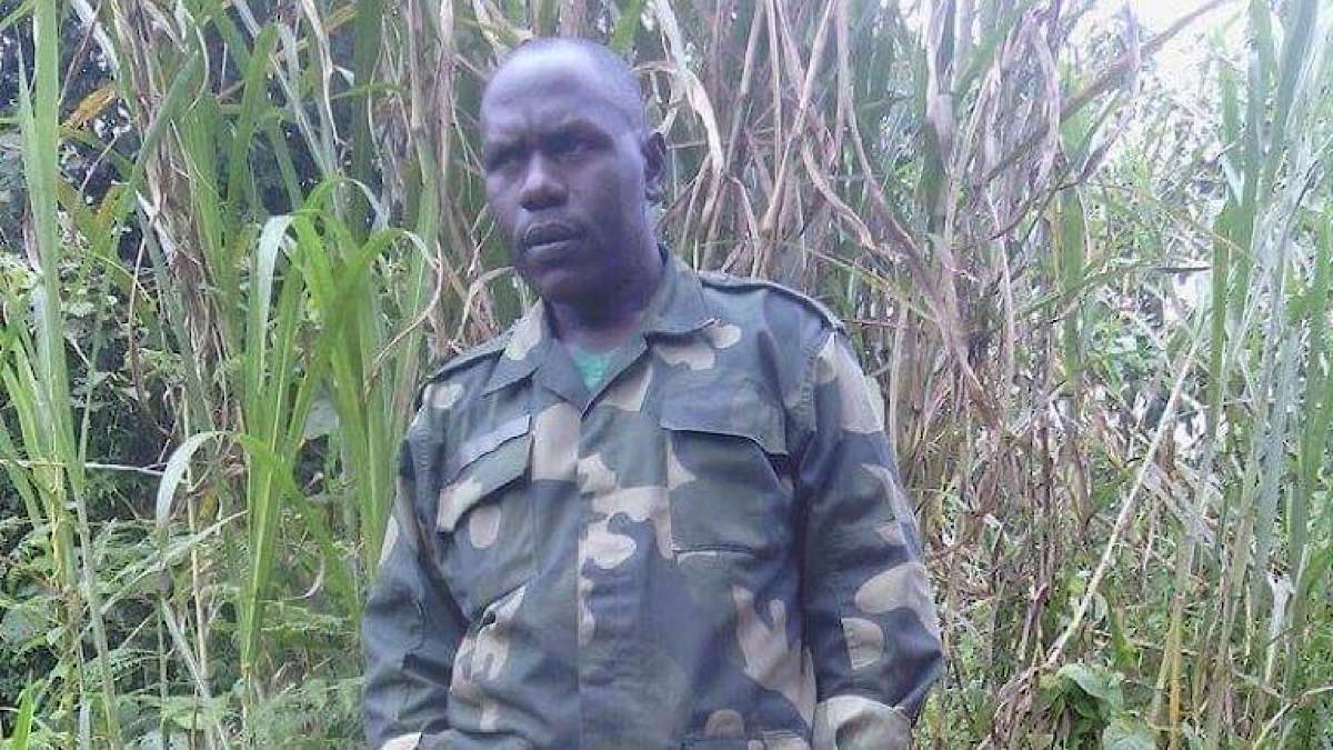 Nord-Kivu: le leader FDLR/RUD, Musabimana Juvénal a été neutralisé par ...